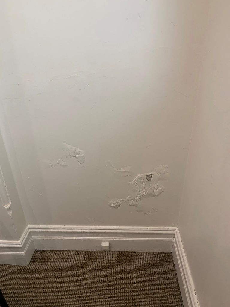 Rising Damp | Rising Damp Solutions